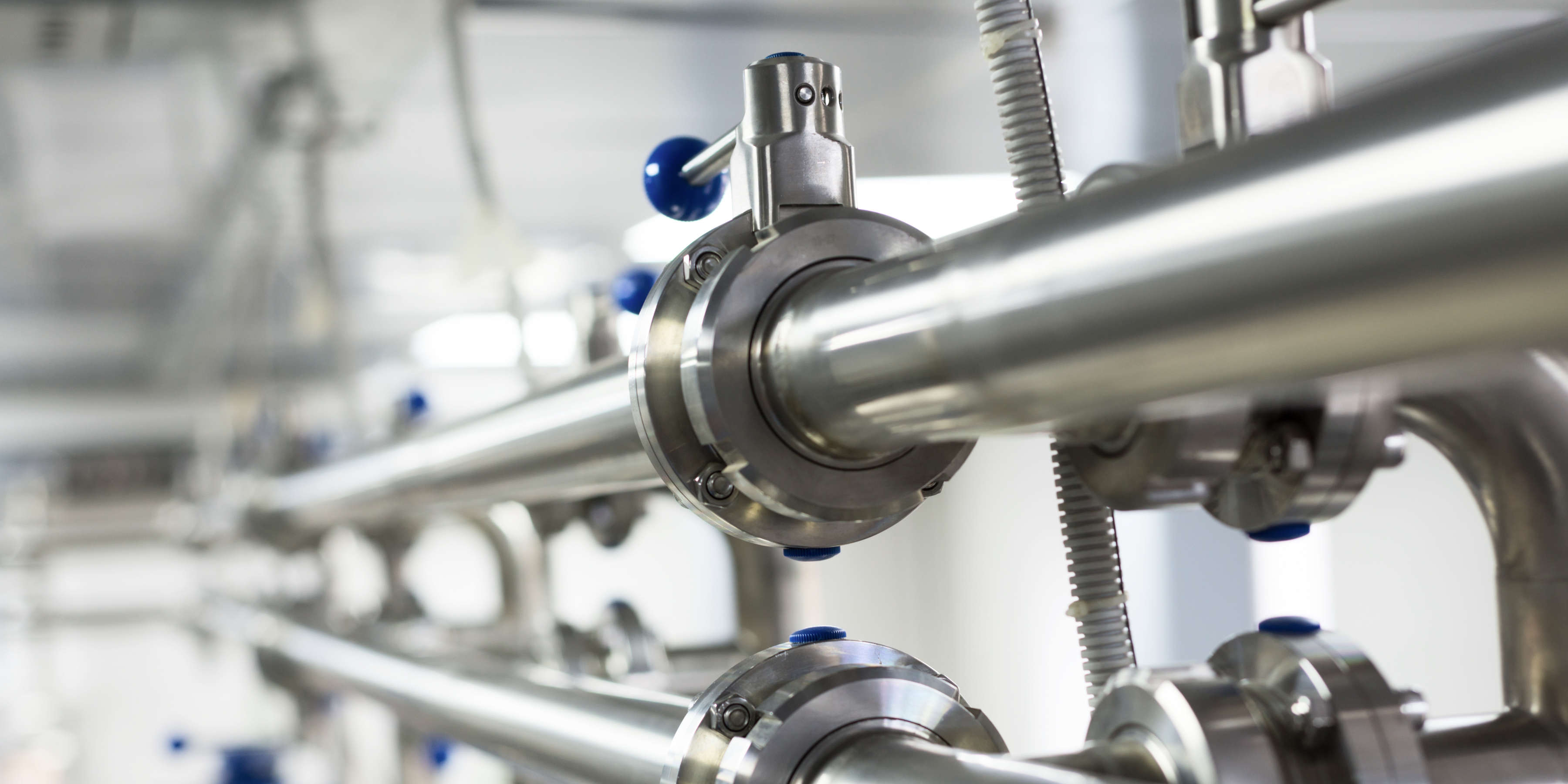 The Maritech® process | Unique green chemistry | Maritech Fucoidan